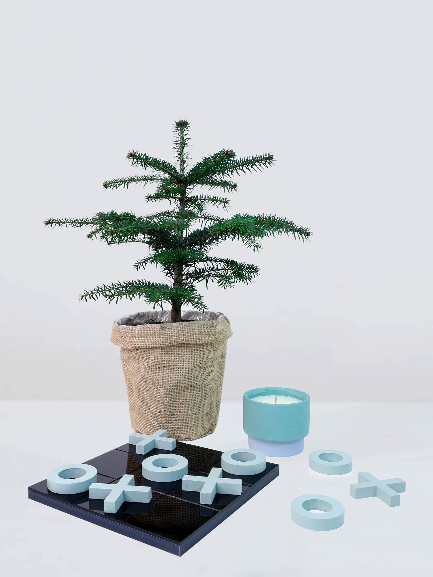 Liten julgran | Köp Växter Online | Plantredo